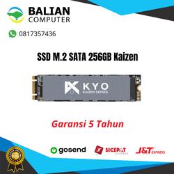 Jual SSD M2 SATA / M.2 SATA / M2SATA 256GB KAIZEN RESMI (GARANSI 5 TAHUN) - SSD ONLY - Jakarta ...