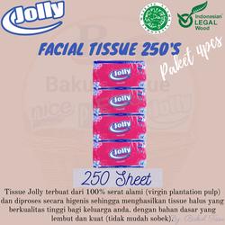Promo PAKET 4 PACK JOLLY Facial Tissue 250 Sheet 2 ply Tisu Muka Halus ...