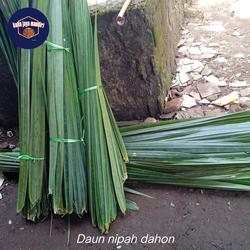 Jual Daun nipah atap Dahon Rumbia,Lembaran/gulung,500g) - Kota ...