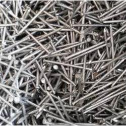 Jual PAKU KAYU 5 CM / PAKU KAYU 7 CM / PAKU SERI KAYU 10 CM / PAKU KAYU ...