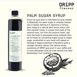 Jual Palm Sugar Syrup Premium Health Today (Sirup Premium Rasa Gula ...