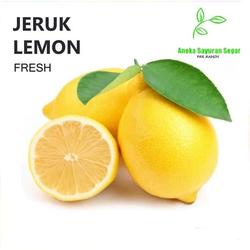 Jual JERUK LEMON IMPORT - SEGAR [1 Buah] - Jakarta Selatan - SAYUR ...