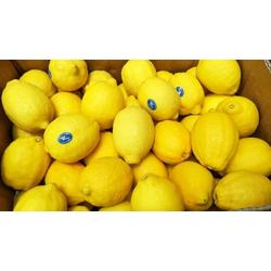 Promo Lemon Import 500 gram Sayurbox - Jakarta Selatan - Sayurbox ...