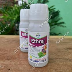 Jual Ethrel 480 SL 100 ml Zat Pengatur Tumbuh - Kota Surabaya ...