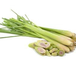 Jual Sereh (harga @250gr) - Jakarta Barat - Bakoel Sayur Online | Tokopedia