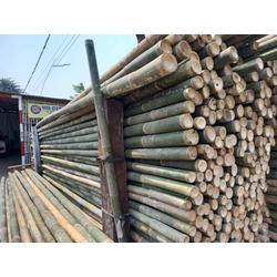 Jual 100 pcs belah bambu turus bambu batang bamboo 1 meter kuat dan ...