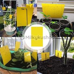 Jual YELLOW TRAP PERANGKAP SERANGGA LALAT TANAMAN LEM KERTAS INSECT ...