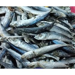 Jual IKAN ASIN LAYANG JAPUH BULEUD GRADE A 500G - Kota Bandung - Ikan ...