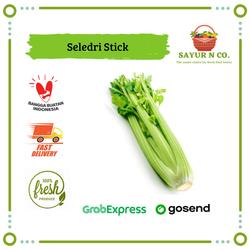 Jual Celery stick / seledri stik impor China per KG - Jakarta Utara ...