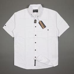 Brill Eighty eight Official - Produk Resmi & Terlengkap | GoPayLater Cicil 0% | Tokopedia