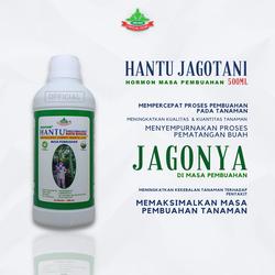 Jual PUPUK JIMMY HANTU MASA PEMBUAHAN JAGO TANI RATU BIOGEN 1 LITER ...