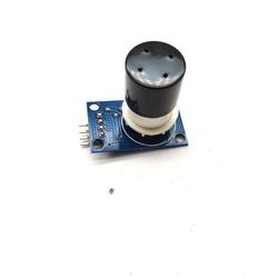 Jual MQ-131 Ozone Gas Detection MQ131 O3 Sensor Kadar Ozon Module ...