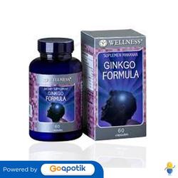 Promo Wellness Ginkgo Formula [60 Capsules] - Jakarta Barat - Wellness ...