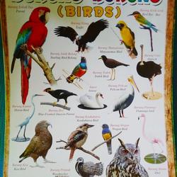 Jual Poster Edukasi Anak / Poster Tabel Perkalian / Multiplication ...