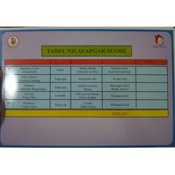 Jual Poster Tabel Nilai APGAR Score - Kab. Bandung - Rayina Print ...