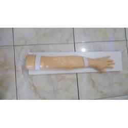 Jual Phantom Lengan Pasang Infus Silicon PLI-020-TKD | ALKES EXPO ...
