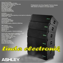 Jual SPEAKER ASHLEY LINE ARRAY TW 210LA HARGA 1 PSC ASHLEY TW210LA ...