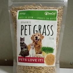 Jual Bibit / Benih /Seeds Wheatgrass Rumput Gandum Meningkatkan ...