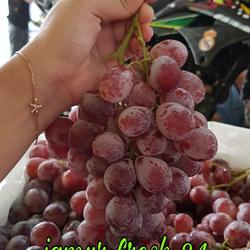 Jual Anggur Merah - 1 kg - Jakarta Timur - Buah Segar Online | Tokopedia
