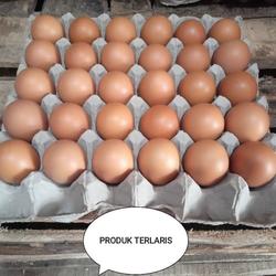 Jual Telur Ayam Negeri per 1 kg Curah Segar dari Kandang NKV - Jakarta ...