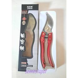 Jual Gunting Dahan Ranting Pohon Buah Bercabang Tebal Gunting Tanaman ...