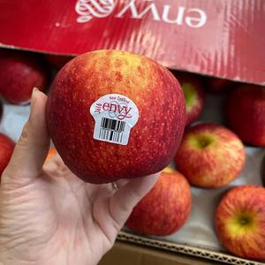 Harga Buah Apel Ana Malang Murah Terbaru 2021 | Hargano.com