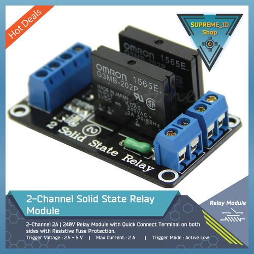 Jual 2-Channel Solid State Relay Module + Resistive Fuse Protection ...