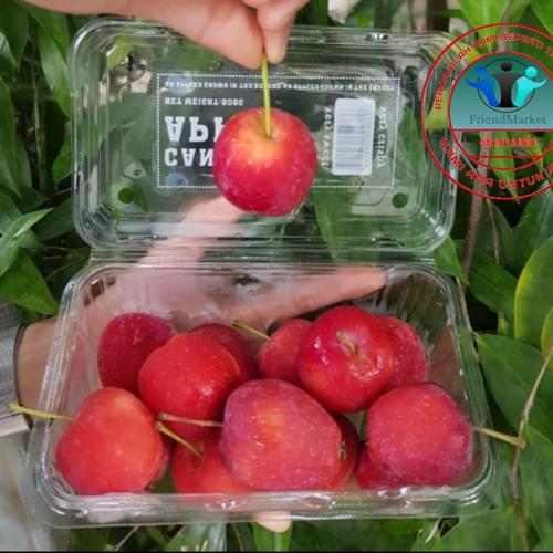 Jual CANDY APPLE Apel Import pck 500grm - Jakarta Barat - SERBA BUAH ...