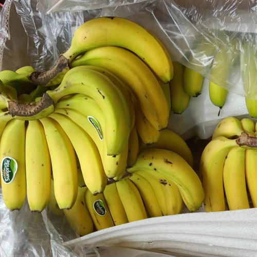 Jual buah pisang sunpride 1kg - Jakarta Barat - TOKOBUAHONLINE | Tokopedia