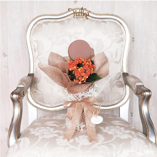 Jual Pot Tanaman bunga segar - Birthday Anniversary - - Jakarta Utara ...