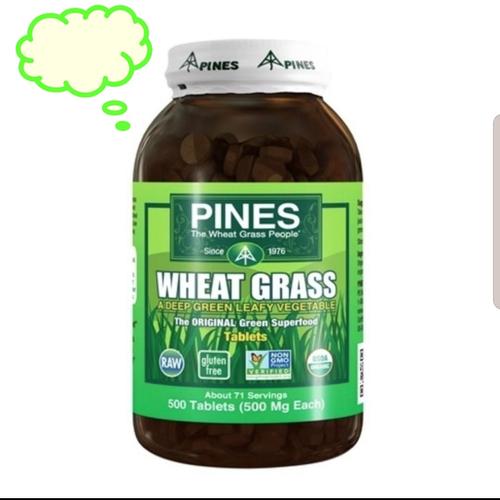 Jual PINES WHEAT GRASS TABS 500 TABLETS SUPLEMEN RUMPUT GANDUM DETOX ...