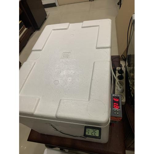 Jual incubator ball python /incubator reptile /inkubator reptil ...