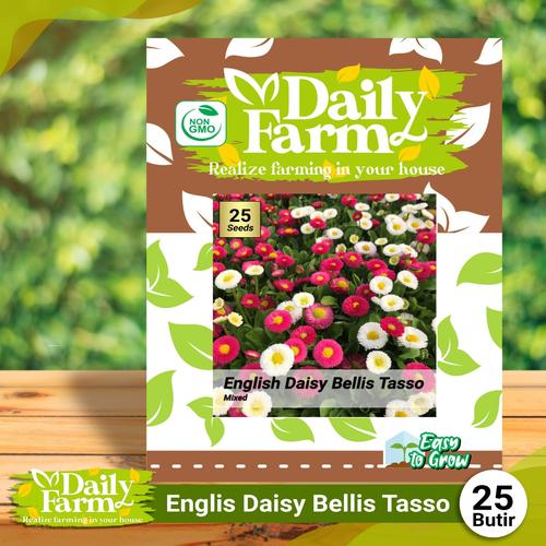 Jual Benih Bunga Daisy - English Daisy Bellis Tasso Mixed - Daily Farm ...