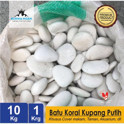 Jual BATU KORAL / KUPANG PUTIH / BATU HIASAN TAMAN 1 KARUNG 10 KG - S ...