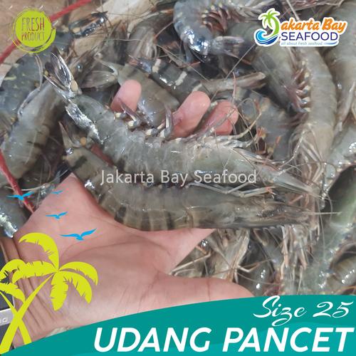 Jual Udang Pancet (Sz 25) 1Kg/Udang Tiger/Udang Windu/Udang Murah ...