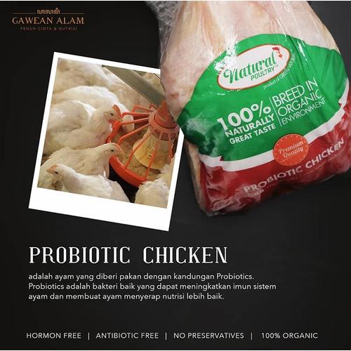 Jual Organic CHICKEN PROBIOTIC - Ayam Organik Probiotik (900-100 gram ...