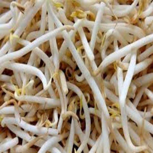 Jual TOGE PANJANG SEGAR - Kota Bandung - niurame fresh | Tokopedia