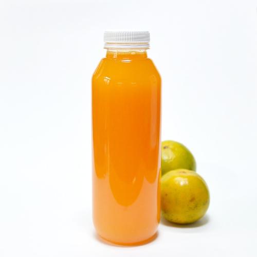 Jual Juice Jeruk Murni / Jeruk Peras Murni Botol 250ml - Jakarta Utara ...