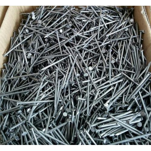 Jual PAKU KAYU 7 CM - per pak = 1 kg - Jakarta Utara ...