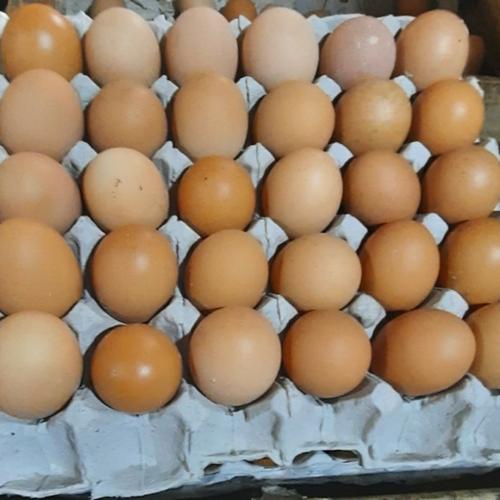 Jual TELOR/TELUR AYAM NEGRI 1kg ,pengiriman khusus instan grab dan goj ...