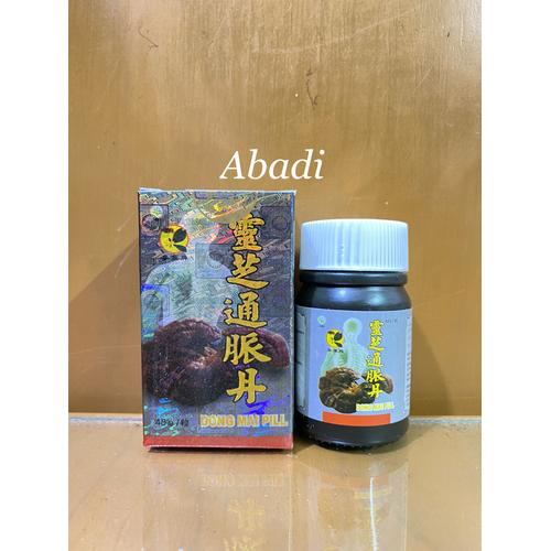 Jual Dong Mai Pill (Dong Mai Dan) - Obat Nyeri Sendi, Otot, Sakit ...