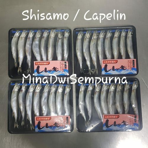 Jual Shisamo Fish / Ikan Capelin - Besar & Telur - Jakarta Utara - MDS ...