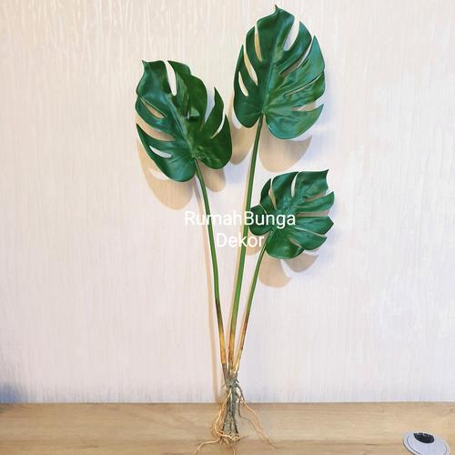 Jual Daun Monstera Akar Artificial x 3 - Jakarta Barat - Rumah Bunga ...