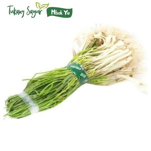 Jual lokio / bawang medan/ lengkio per ikat - Kota Tangerang Selatan ...