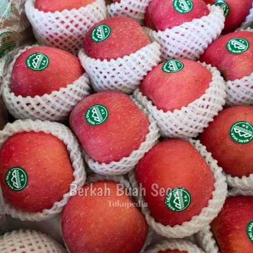 Jual Apel Fuji Wangshan Premium 1 BOX / DUS - 9 Kg, Dus HIJAU - Jakarta ...