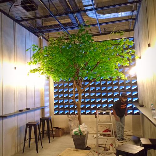 Jual POHON BESAR MAPLE JEPANG POHON DEKORASI ARTIFICIAL TREE - Kab ...