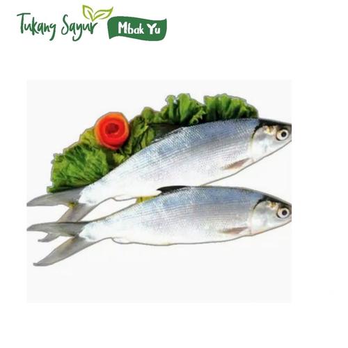 Jual ikan bandeng segar 500gr - Kota Tangerang Selatan ...