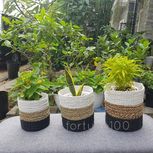Jual Cover Pot Seagrass / Coverpot Anyam Tanaman / Keranjang Anyaman ...