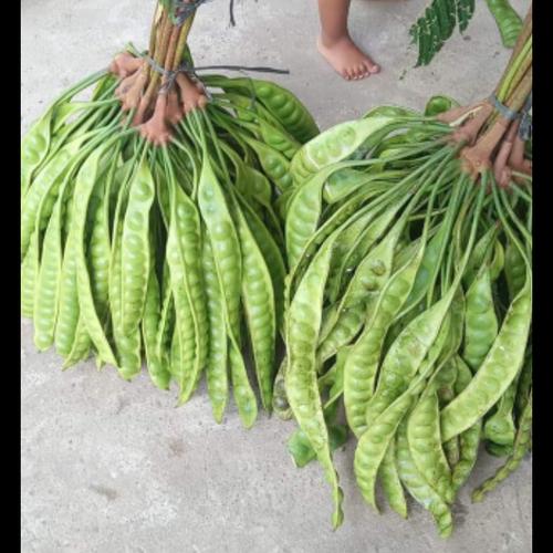 Sayur Pete