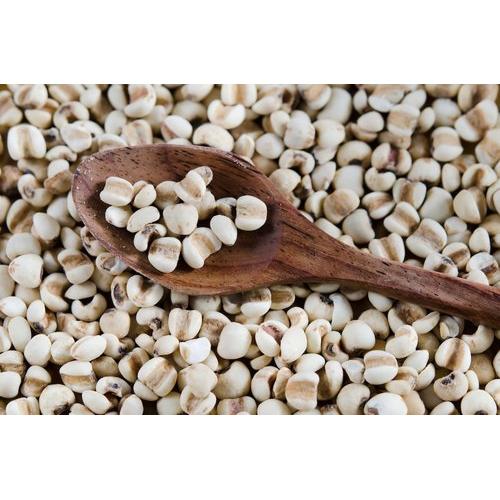 Jual Jeli Jeli Chinese Pearl Barley Biji Barli Cina Jelai Hanjeli 500gr ...